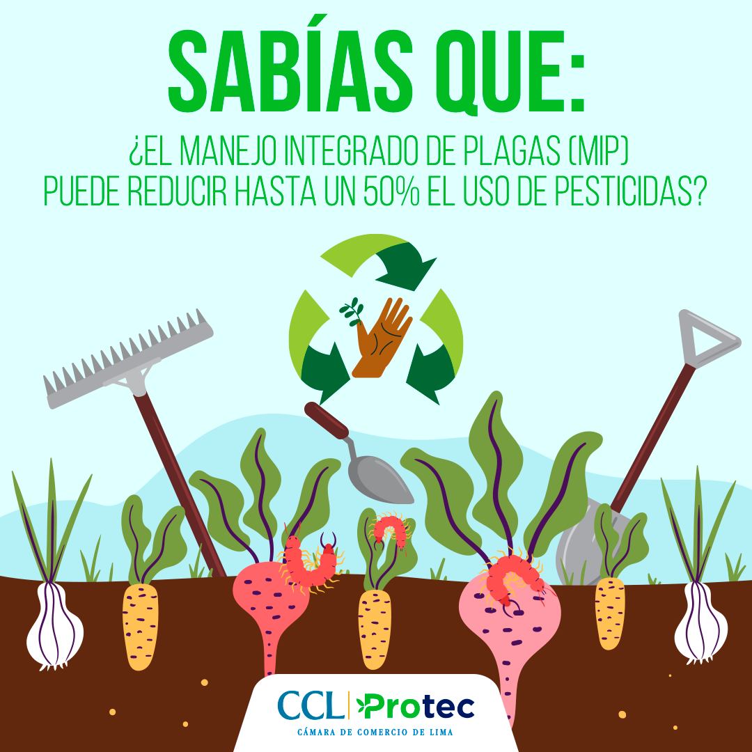 MIP puede reducir hasta un 50% el uso de plaguicidas – Protec